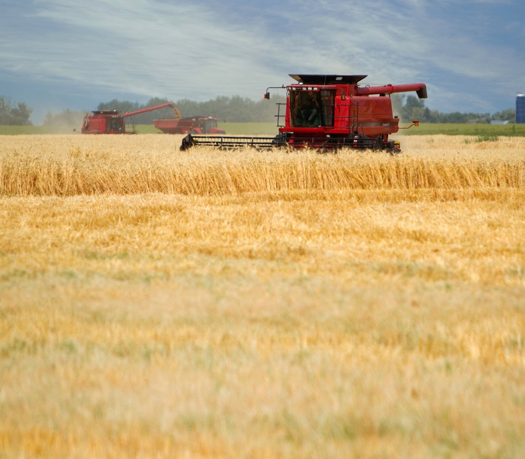Home - Northern Plains Grain Inspection Service
